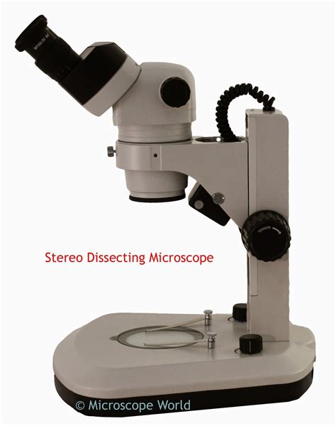 Microscope World Blog What Is A Compound Microscope