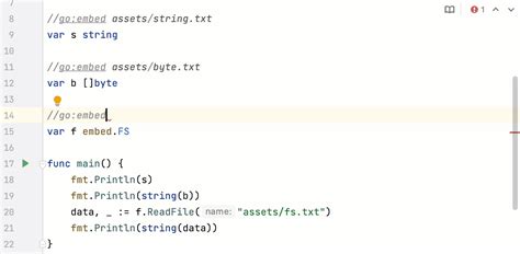Embedding Files Goland Documentation
