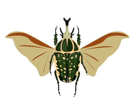 Polyphemus Illustration Stock Illustrations 196 Polyphemus Illustration Stock Illustrations