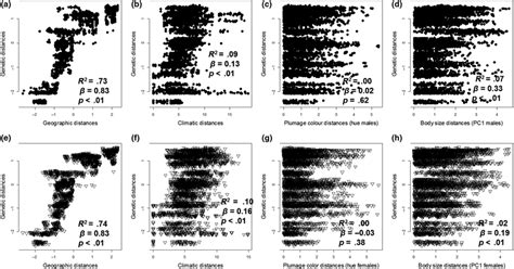 Pairwise Distance Matrices Of Mitochondrial Dna Mtdna Against