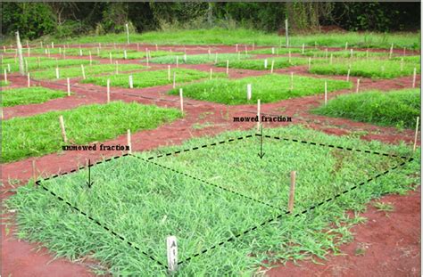 General View Of The Experiment Showing In The Foreground One Of The