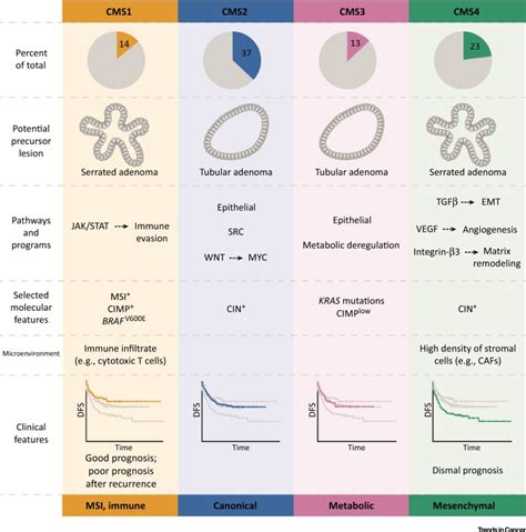 Colorectal Cancer Subtypes Developmental Origin And Microenvironmental Regulation Trends In Cancer