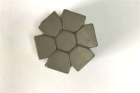 Cylinder Halbach Array Magnet Assembly