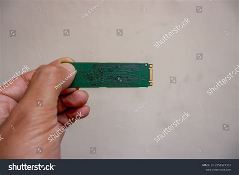 Man Hand Holding New Nvme Pcie Stock Photo Shutterstock