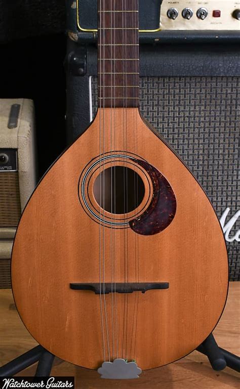 Cittern 8 String Reverb