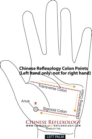 Social Anxiety Constipation Cant Poo Heres What To Do