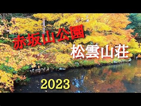 赤坂山公園松雲山荘 2023 11 22 紅葉 YouTube