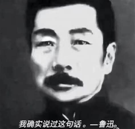 网络热词人类的悲欢并不相通是什么梗 布丁导航网