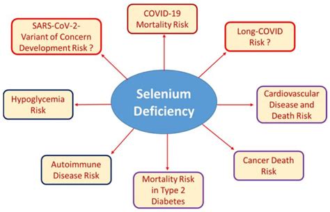 Selenium Deficiency Medicinal Herbs Study Center