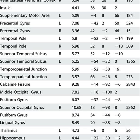Tpj Temporoparietal Junction Sts Superior Temporal Sulcus Mfg Download Scientific