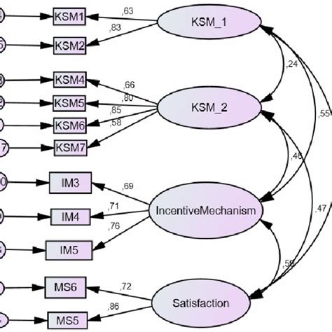 Standardised Sem Analysis Results See Online Version For Colours