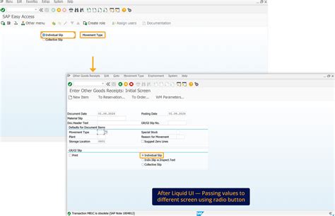 sap process