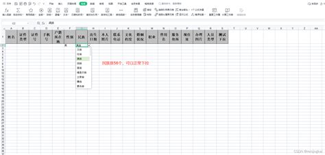 easyexcel导出带下拉框选项excel模板（解决下拉框超50个的问题） easyexcel导出模板 实现动态下拉选 下拉选的值和展示的不