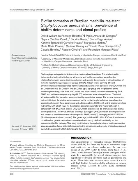 Pdf Biofilm Formation Of Brazilian Mrsa Strains Prevalence Of
