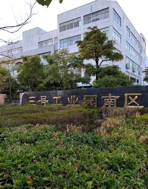 Custom Sex Dolls Buy Custom Plush Sex Dolls Sex Dolls Tpe Realistic Customize Male Sex Doll