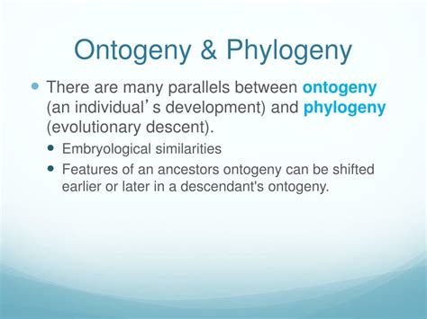 Ppt Organic Evolution Powerpoint Presentation Free Download Id209875
