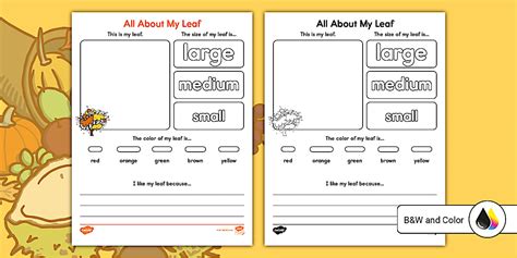 All About My Leaf Worksheet Twinkl
