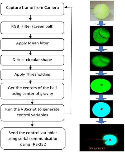 Image Processing Procedures Download Scientific Diagram