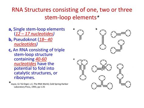 PPT RNA World Hypothesis PowerPoint Presentation Free Download ID 4779632