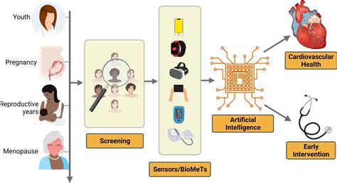 cardiovascular disease screening in women leveraging artificial