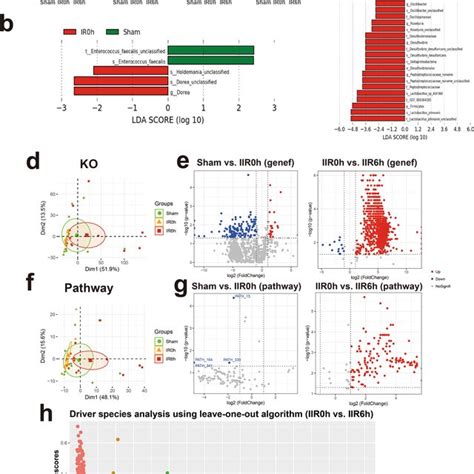 Integrated Microbiome Metabolome Analysis Identified Key Metabolic Download Scientific Diagram