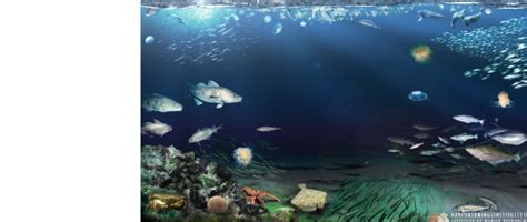 1 Artists View Of The Ecosystem Of The Coastal Northern North Sea
