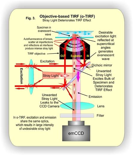 Tifr Microscopy Tirf