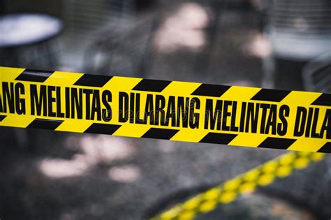 No Passing Signs Installed Stock Image Image Of Forbidden 365155453