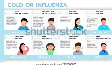 Vector Infographic Showing Similarities Differences Between Stock Vector Royalty Free