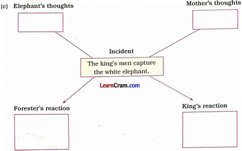 Dav Class 6 English Literature Book Solutions Chapter 2 The White Elephant Learn Cram