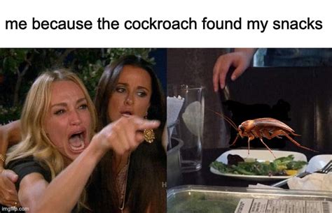 Woman Yelling At Cat Meme Imgflip
