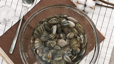 바지락국 바지락탕 만드는 법 간단한 국요리는 조개국이 최고