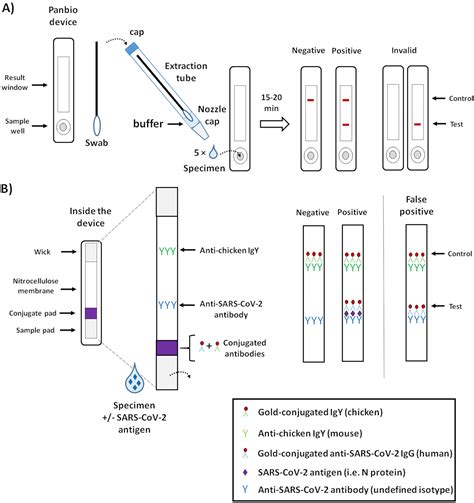 Abbott Covid 19 Rapid Test Device Buffer Online Clearance