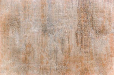 Texture Background Tree Free Photo On Pixabay