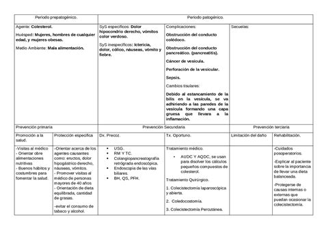 Historia Natural Colelitiasis Apuntes De Epidemiología Docsity