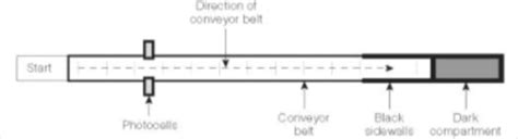 4 1 Escape Avoidance And Punishment Ps202 Flashcards Quizlet