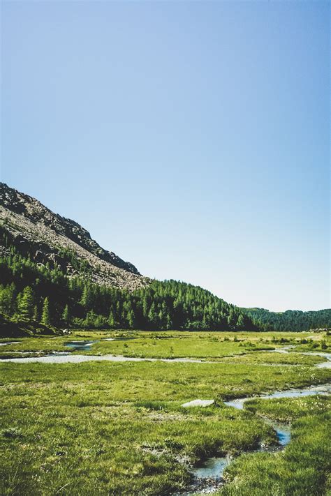 The Art Of Bird Watching A Comprehensive Beginners Guide News Pulse