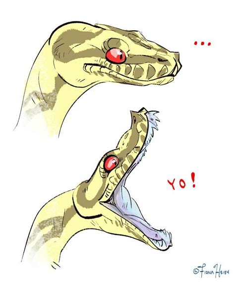 30 best ball python art images on pinterest ball python python