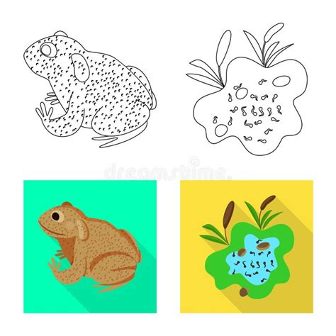 Isolated Object Of Wildlife And Bog Sign Collection Of Wildlife And Reptile Vector Icon For