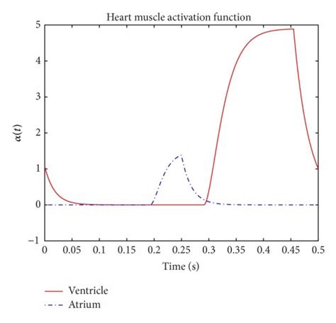 Ventricular And Atrial Activation Functions Download Scientific Diagram