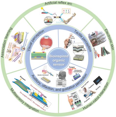 Overview Of Various Bioinspired Organic Sensors Including Visual Download Scientific Diagram