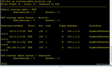 重发布及路由策略ip Ip Prefix Cc Index 10 Deny 19216800 23 Less Csdn博客