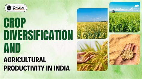 Crop Diversification And Agricultural Productivity In India Pwonlyias