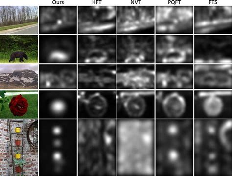 Some Saliency Maps Of Different Models Download Scientific Diagram