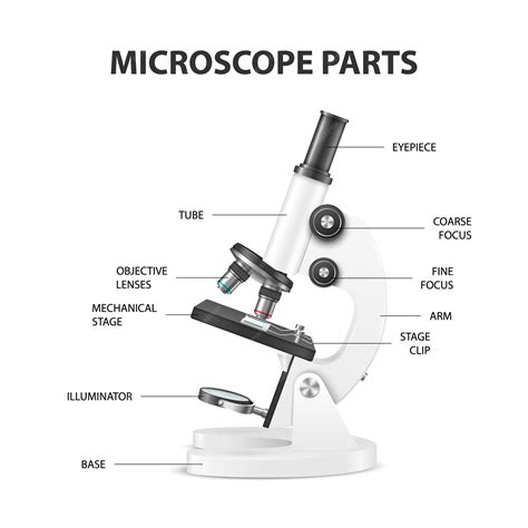 Premium Vector Microscope Parts Structure Anatomy Vector 3d Realistic White Laboratory
