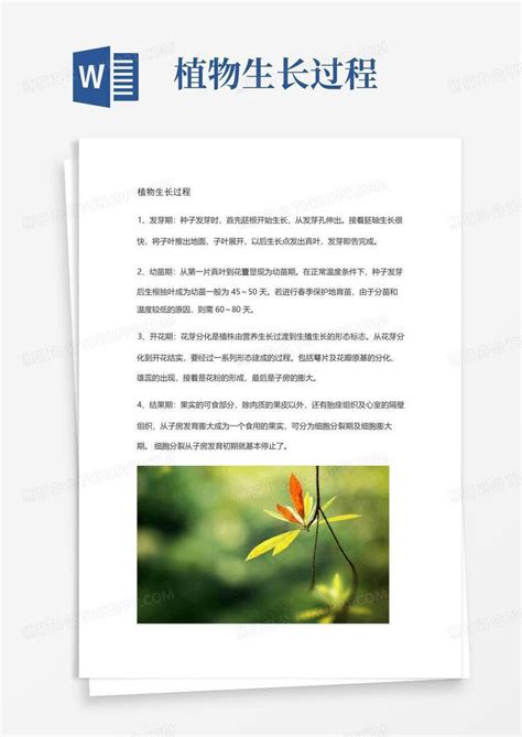 植物生长过程word模板下载编号ljabmgyy熊猫办公