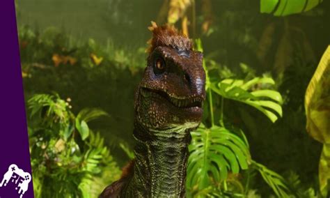 Ark Survival Ascended How To Open Command Console On PC