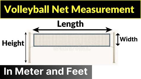 Indoor Volleyball Net Size At Yvonne Tandy Blog
