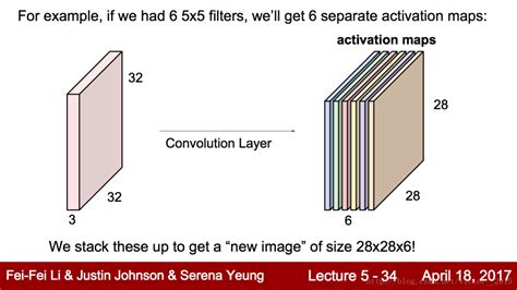 Cs231n 5 Convolutional Neural Networksthe Title Of The Class Csdn博客